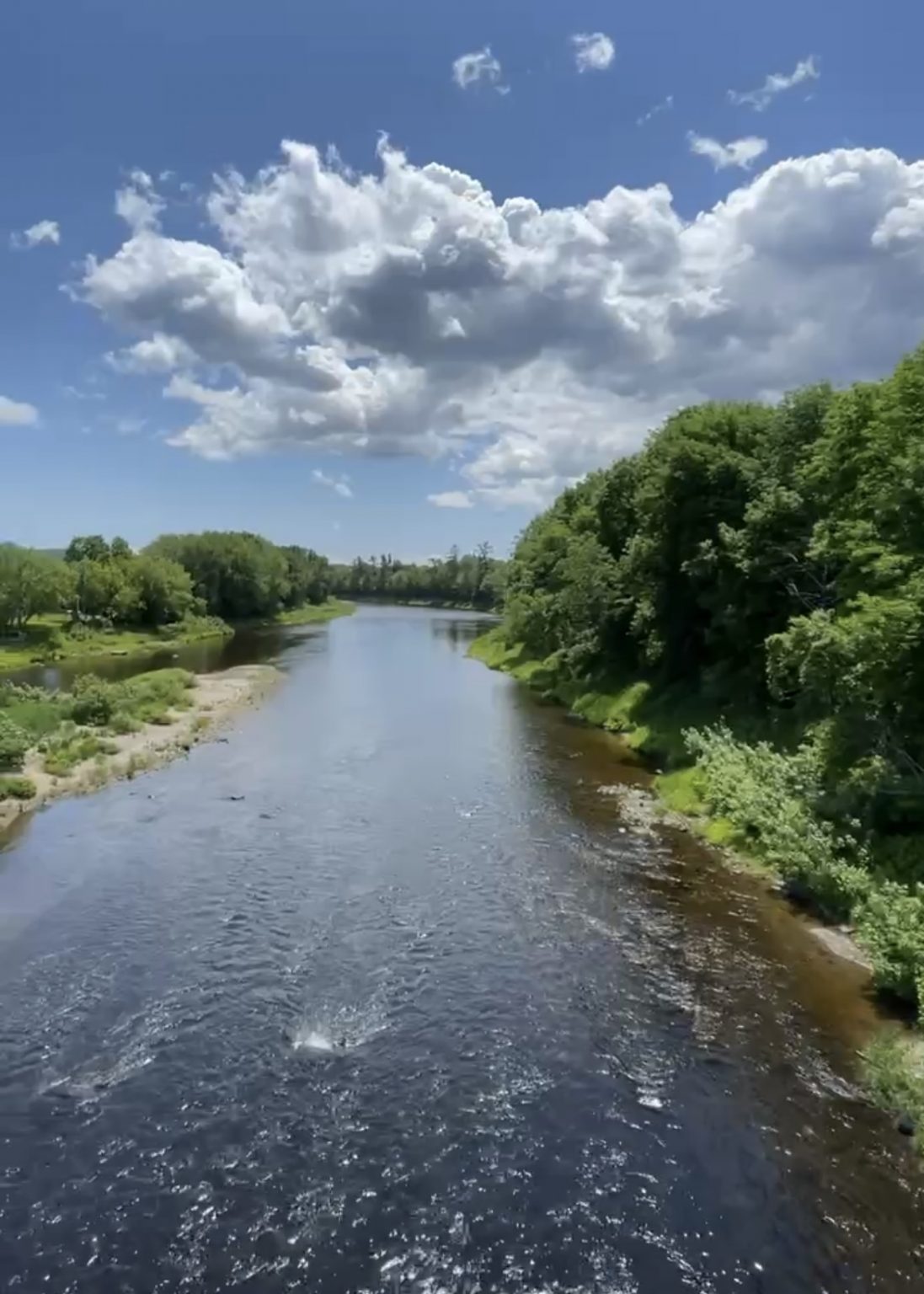 Safely Cross a River