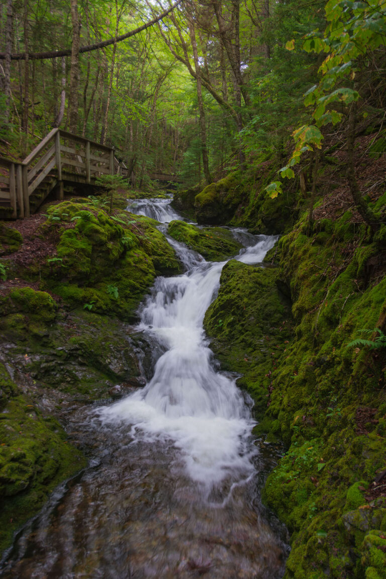 Dickson Falls, Fundy National Park