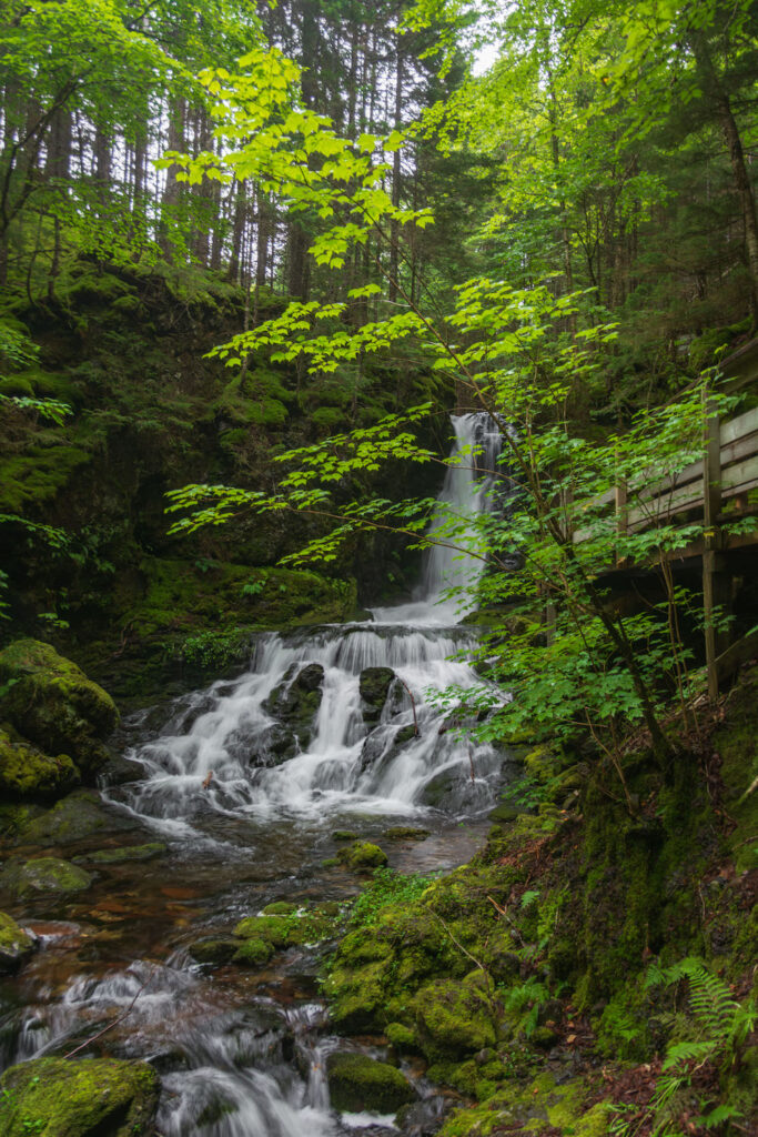 Dickson Falls, Fundy National Park